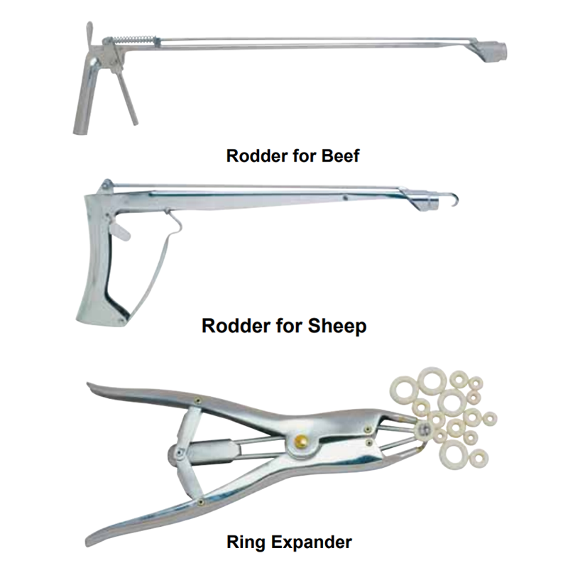 Beef Processing Archives - Page 7 of 7 - Jarvis Anz